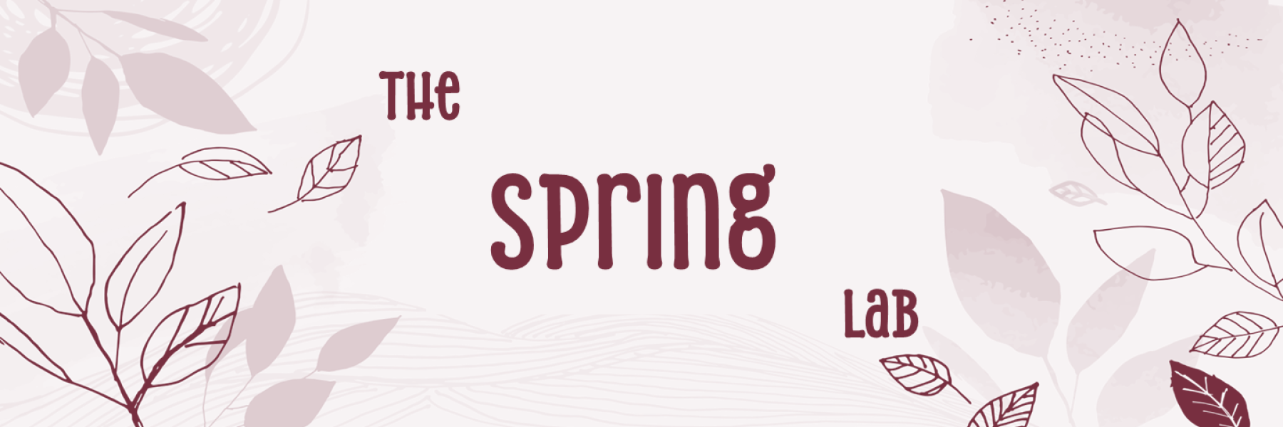 The Spring Lab | College of Medicine